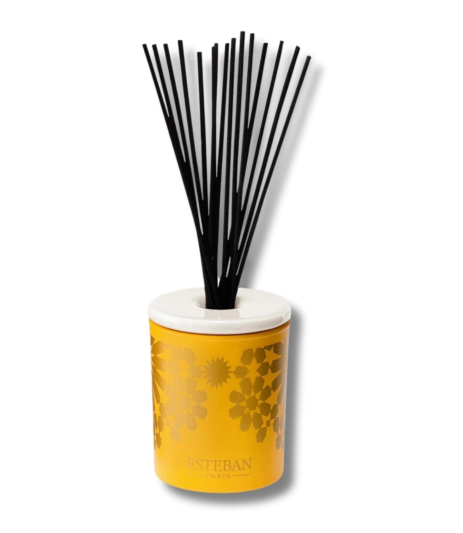 Esteban Ambre Decorative Diffuser 100ml | French Beauty Co.